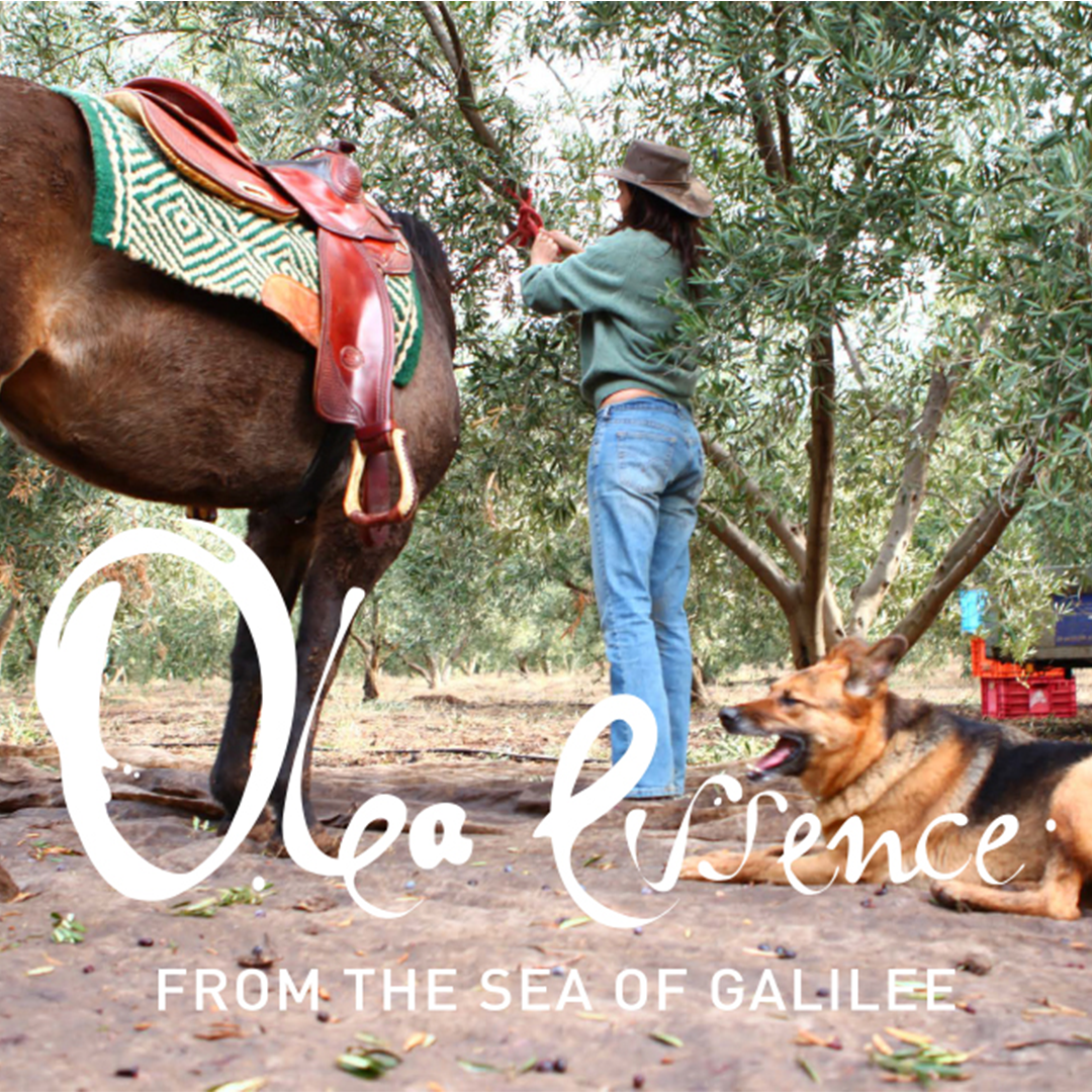 OLEA ESSENCE – FROM THE SEA OF GALILEE - Wave - Adv משרד פרסום 360°